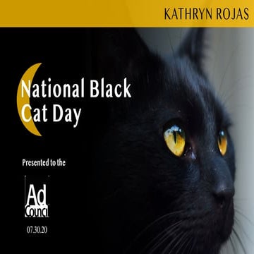 National Black Cat Day Presentation | PDF