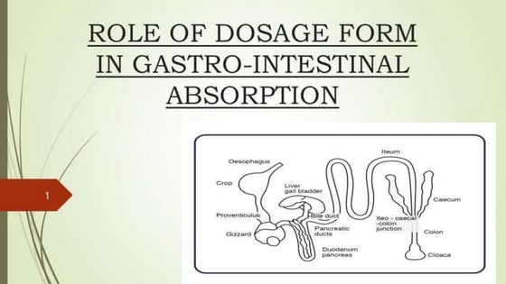 DRUG ABSORPTION FROM GASTROINTESTINAL TRACT | PPTX