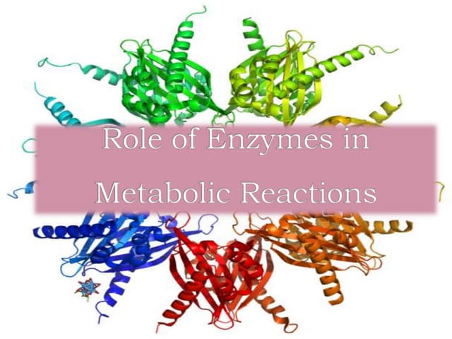 Classification and nomenclature of enzymes | PPT