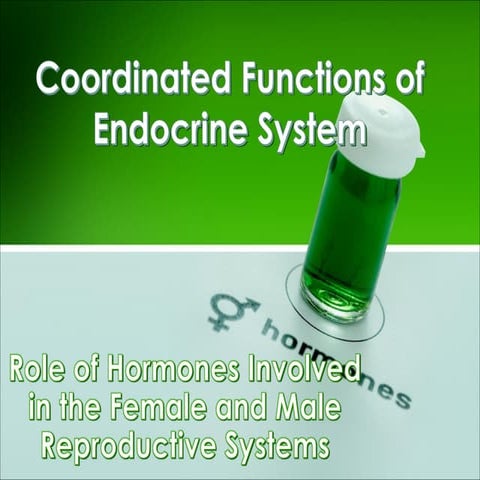 ROLE-OF-HORMONES-IN-MALE-AND-FEMALE-RS.pdf