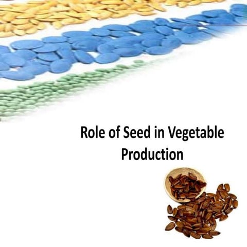 Role of-seed-in-vegetable-production | PPTX