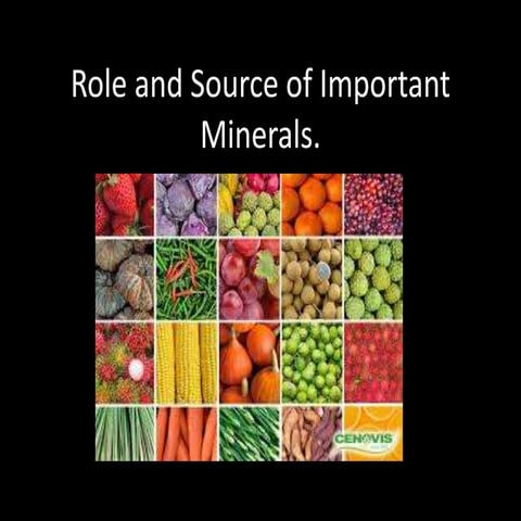 Role and source of important minerals bio project | PPTX