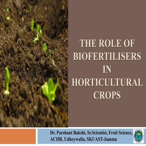 Role of biofertilizers in Horticulture | PPTX