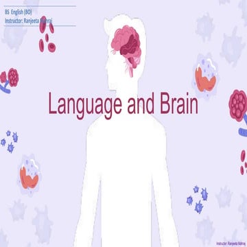 Role of Brain in Language Assignment .pdf