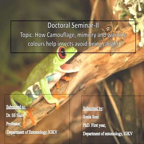 Role of Camouflage, mimicry and warning colours in insect defence.pptx