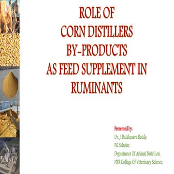 Role of corn distillers by products as feed supplement in ruminants | PPTX