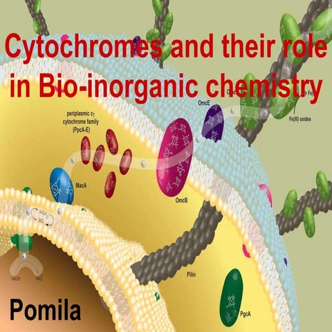 Role of cytochromes.pptx
