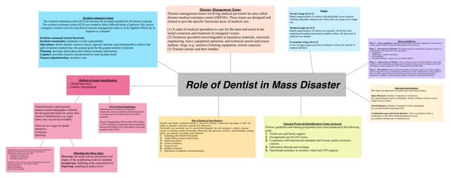 Disaster Victim Identification (DVI) | PPTX