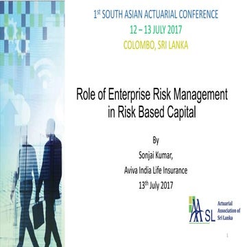 Role of Enterprise Risk Management in Risk Based Capital | PDF