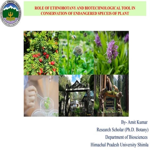 Role of Ethnobotany in conservation of endangered speceis of plant.pptx