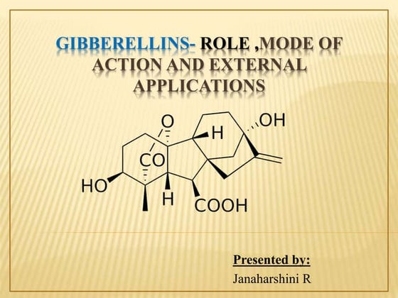 Gibberellins: Discovery, Biosynthesis, Function and Regulation | PPT