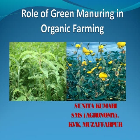 Role of green manure in organic farming | PPT