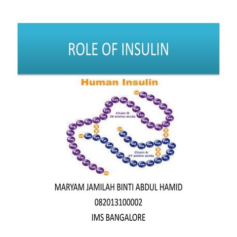 Role of insulin in human body | PPTX