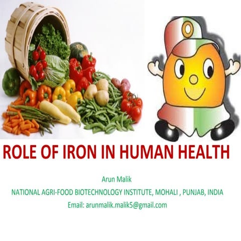 Role of iron in human health | PPT | Digestive Disorders | Diseases and ...