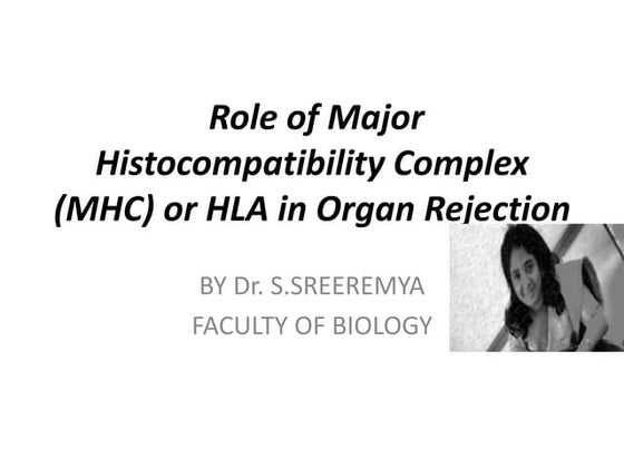 Major Histocompatibility Complex- Pharmaceutical Biotechnology ...