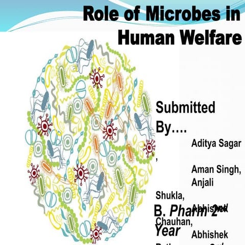 Role of Microbes in Human Welfare.pptx