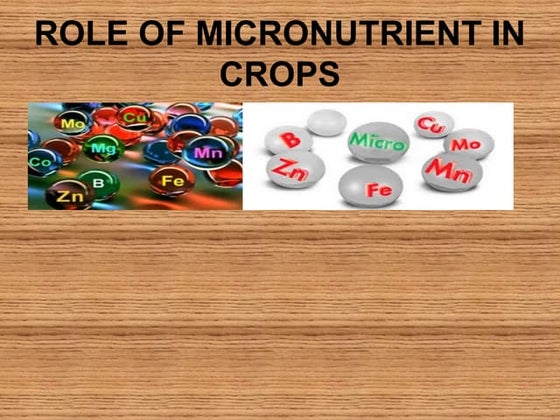 Micronutrients...Importance for plant nutrition | PPT