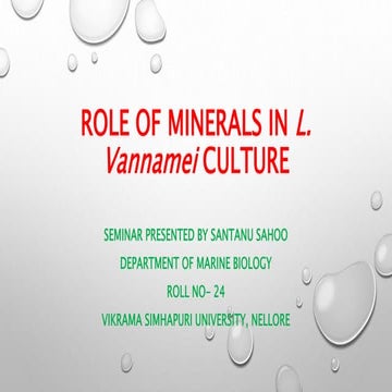 Understanding the Crucial Role of Minerals in L. vannamei Culture | PPTX