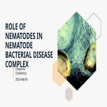 ROLE OF NEMATODES IN NEMATODE BACTERIAL DISEASE COMPLEX.pptx