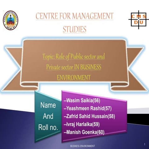 Role of public and private sector | PPTX