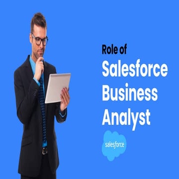 Role Of Salesforce Business Analyst Pdf Information Services Industry