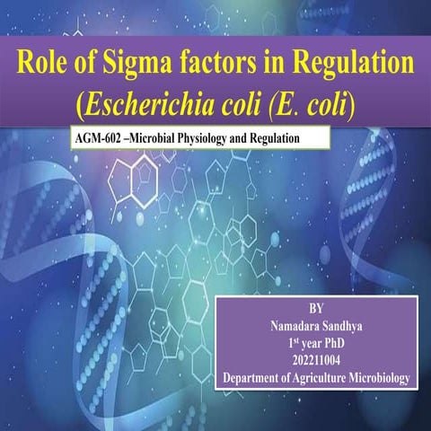 Role Of Sigma Factor Pptx