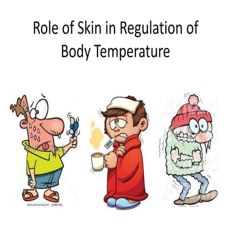 Role of skin in regulation of body temperature | PPTX