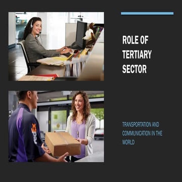 Tertiary sector | PPT