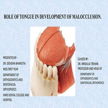 Orthodontic bracket Prescription chart | PDF