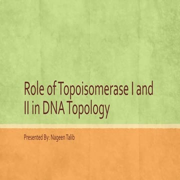 Role of Topoisomerase I and II in DNA Topology.pptx