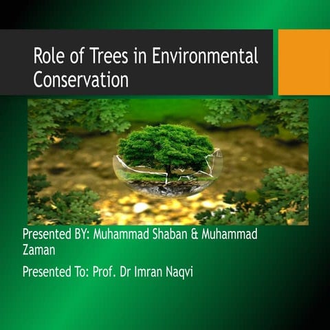 Role_of_Trees_in_Environmental_Conservation_Presentation.pptx