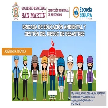FUNCIONES DE LAS BRIGADAS ESCOLARES PARA EL NIVEL PRIMARIA Y SECUNDARIA ...