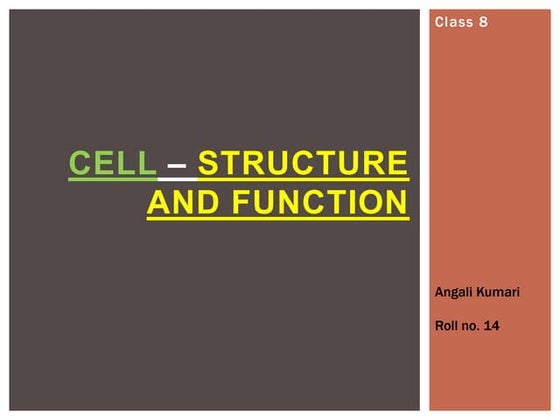 Cell - structure and functions | PPT