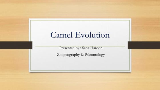 Evolutionary history of camels | PPT