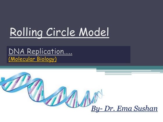 Various model of DNA replication | PDF