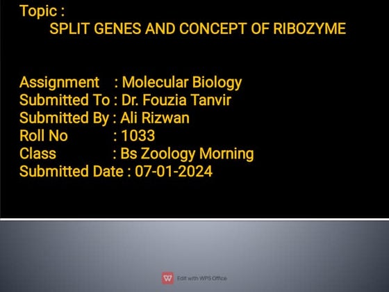 Ribozyme | PPT
