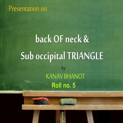 Suboccipital triangle | PDF