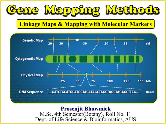 Gene Mapping Methodslinkage Maps And Mapping With Molecular Markers
