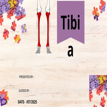 Tibia bone.pptx