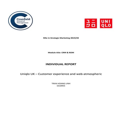 UNIQLO - Individual Report | PDF