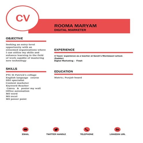 roma cv (2).pdf