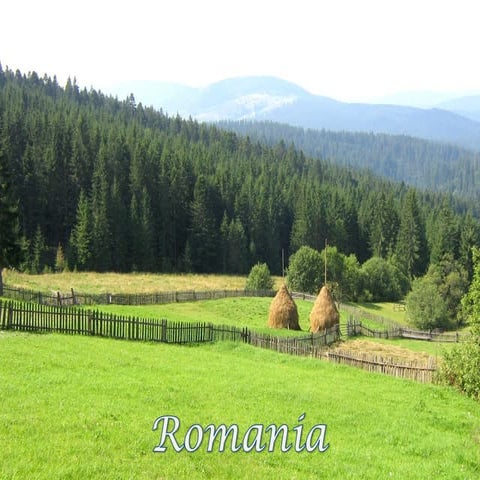 Romania | PPS | Music | Entertainment