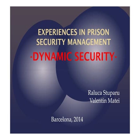 Experiences in prison security management. Dinamic Security (Romania) | PDF