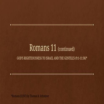 Romans 11:11-36 -- A Sunday School Lesson | PPT