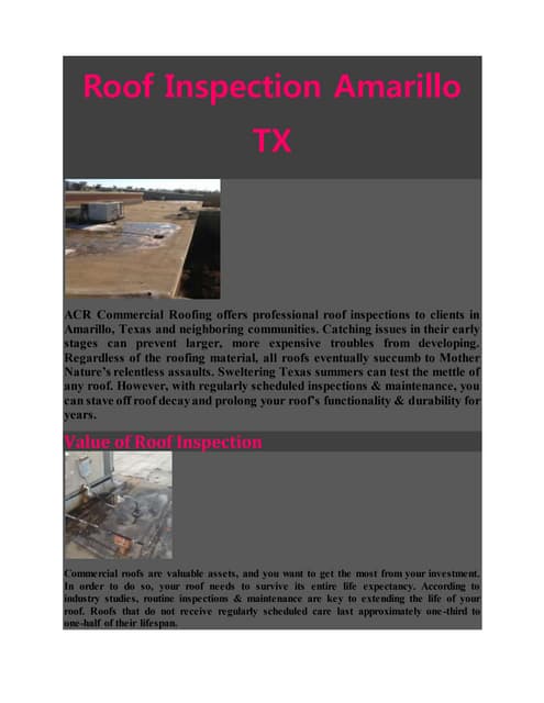 Atul_Industries | PDF