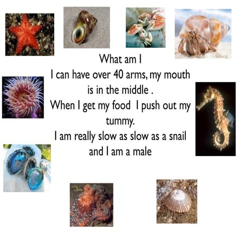 What am I? | KEY