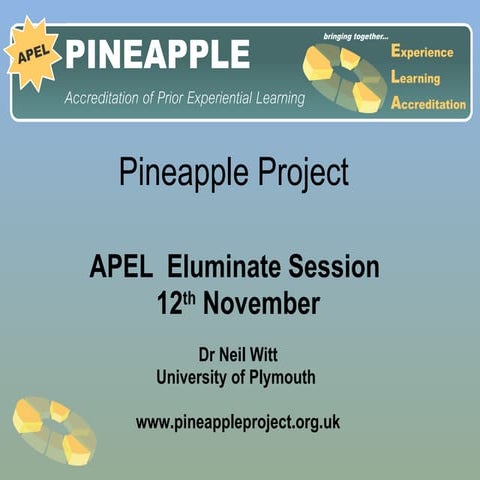 Room4 PineAPPLe Neil Witt Hd Pineapple Project Neil Eluminate ...