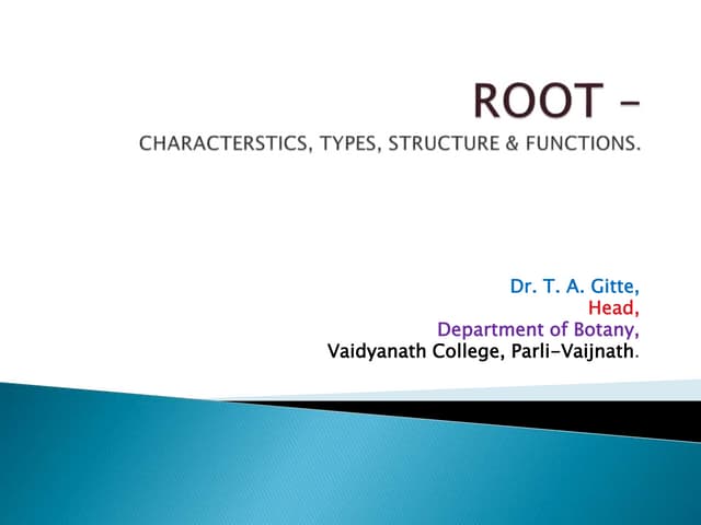 Primary structure Monocot Root | PPTX