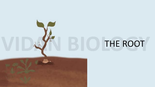 Oncogene and Proto-oncogene | PPTX