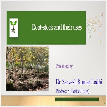 Root-Stock and their uses presentation.pptx